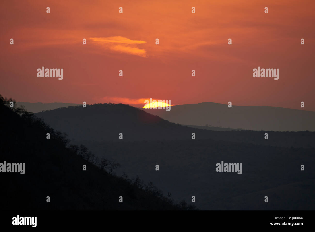 Bushveld sunset africa hi-res stock photography and images - Alamy