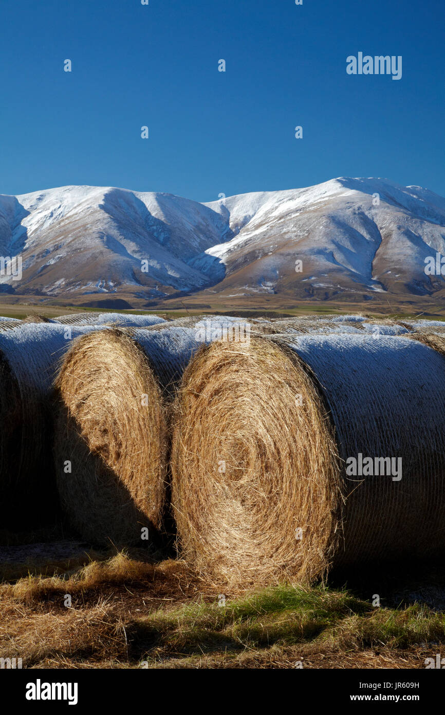 Hay bales and Kakanui Mountains, Kyeburn, near Ranfurly, Maniototo ...