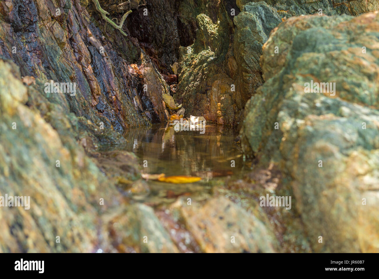 Small clean water lake between rocks by the beach Stock Photo - Alamy