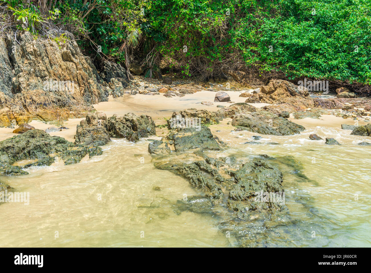 Summer holiday daylight beach scene tropical paradise vacation on coast ...