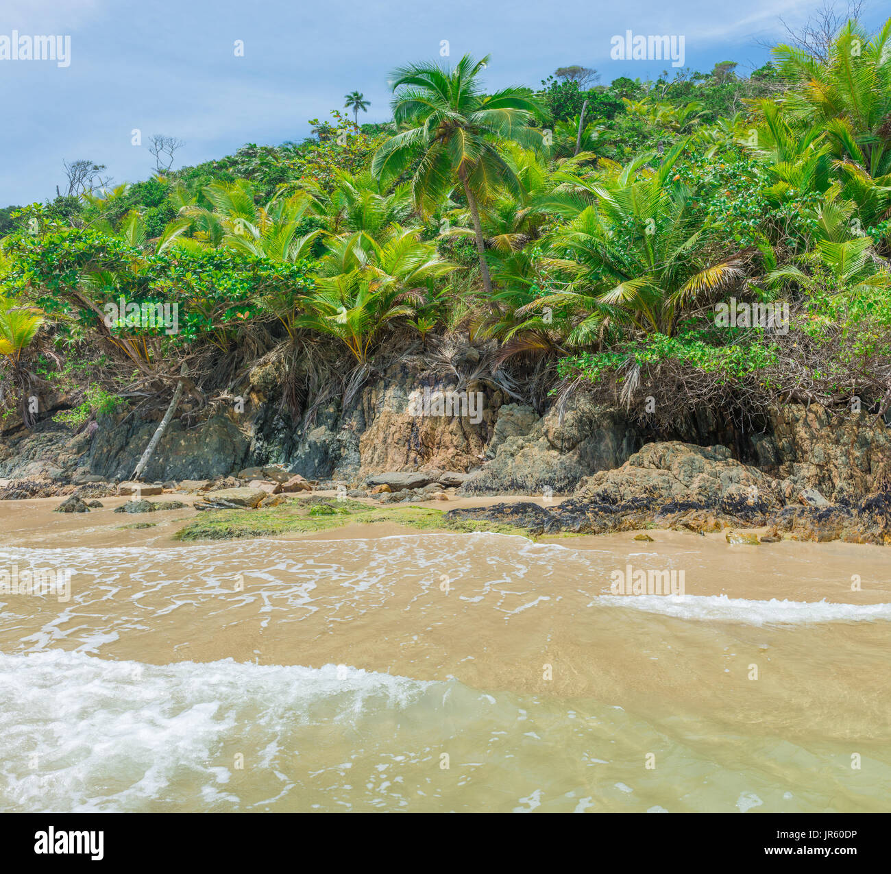 Summer holiday daylight beach scene tropical paradise vacation on coast ...