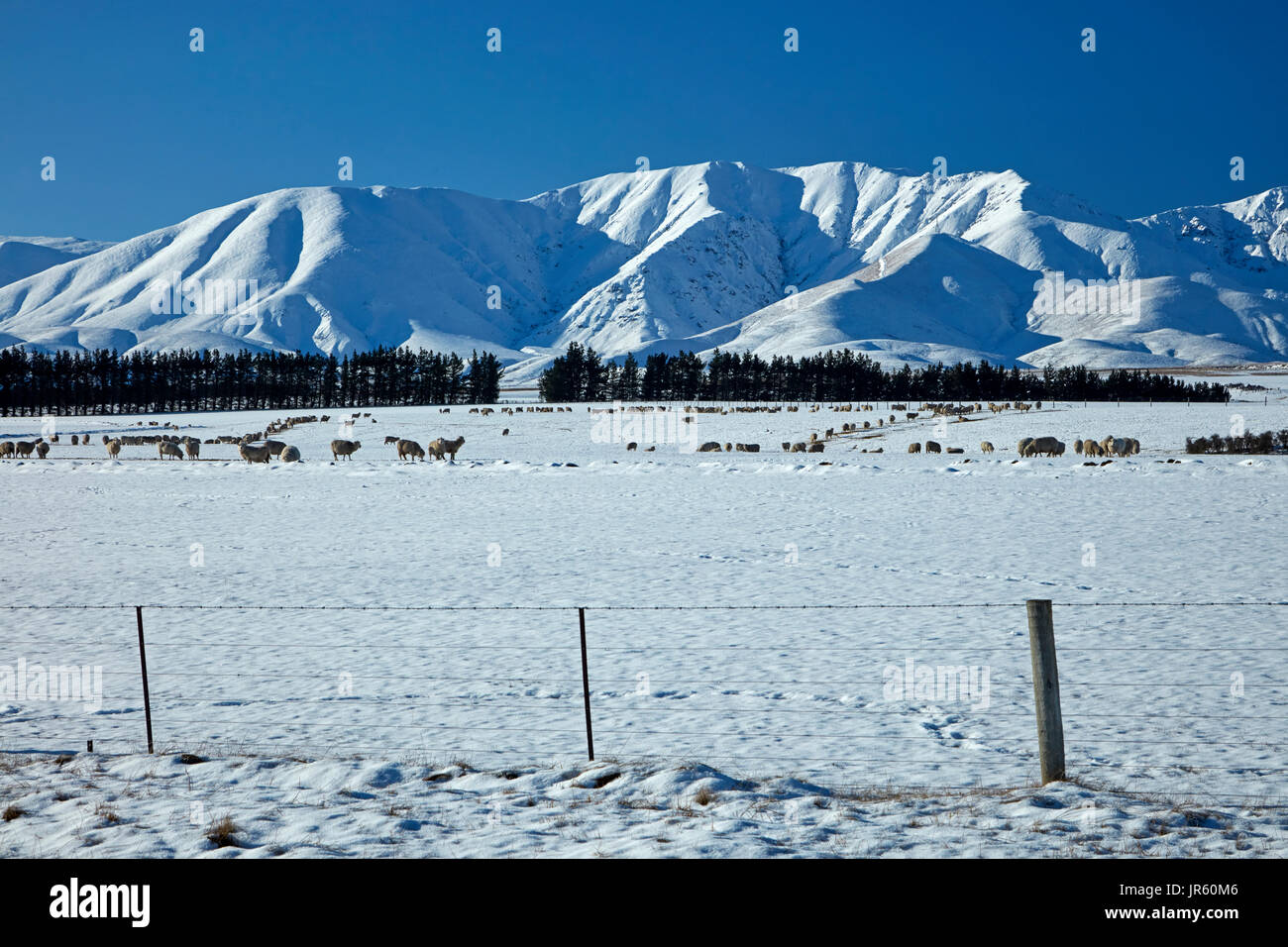 Maniototo new zealand hi-res stock photography and images - Alamy