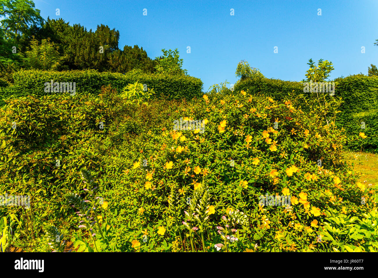 Green park, freshly cut vegetation, well maintained park, walking path ...