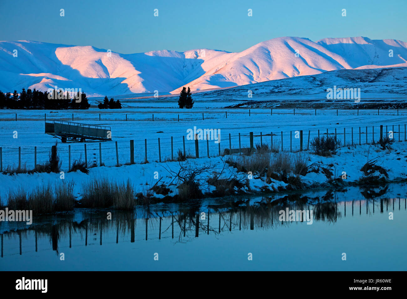 Oturehua otago hi-res stock photography and images - Alamy