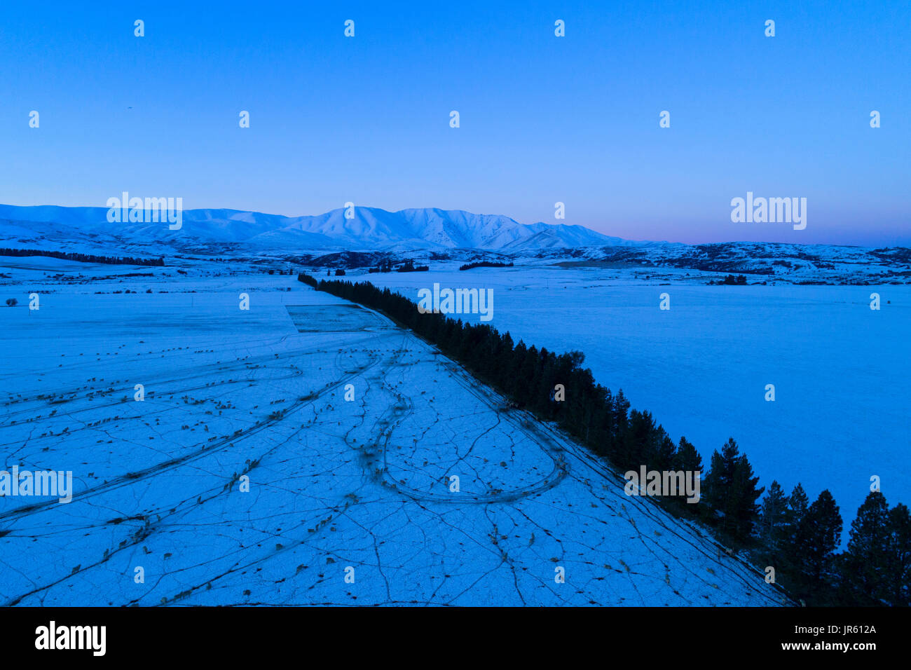 Aerial view herd sheep hi-res stock photography and images - Alamy