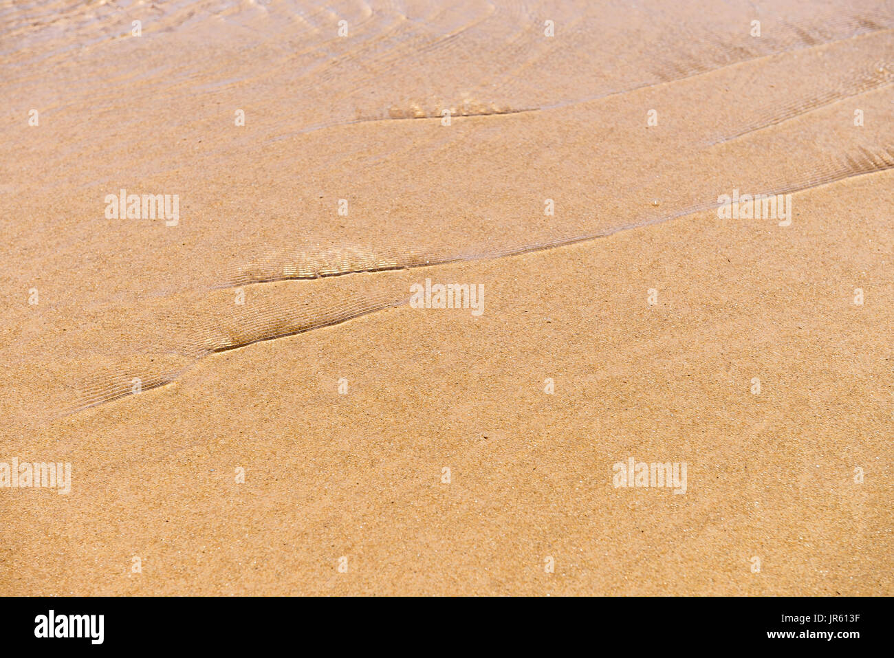 Texture beach sandy surface with ripples formed by the wind Stock Photo ...