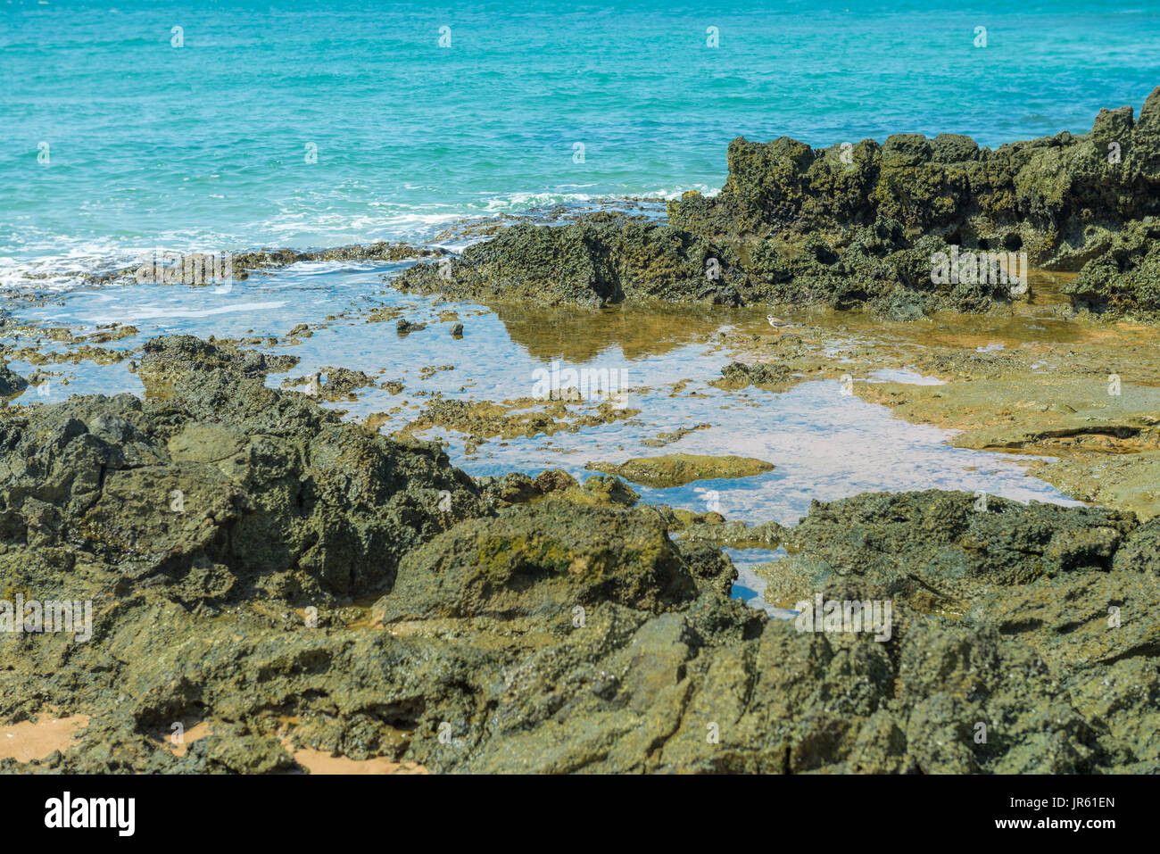 Water forms and effects all over the beach sand Stock Photo - Alamy