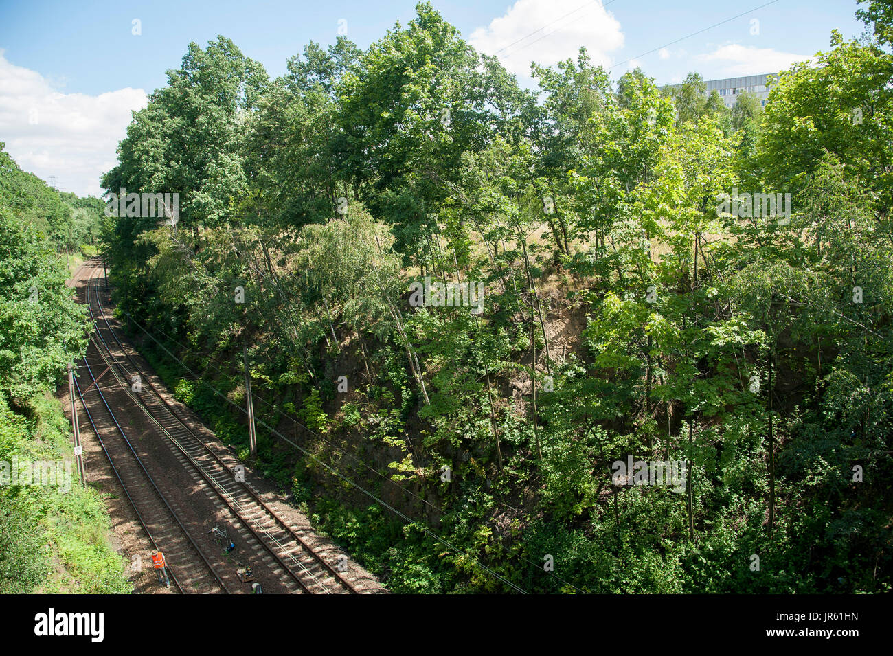 The site of the believed missing Nazi Gold Train in Walbrzych, Poland ...