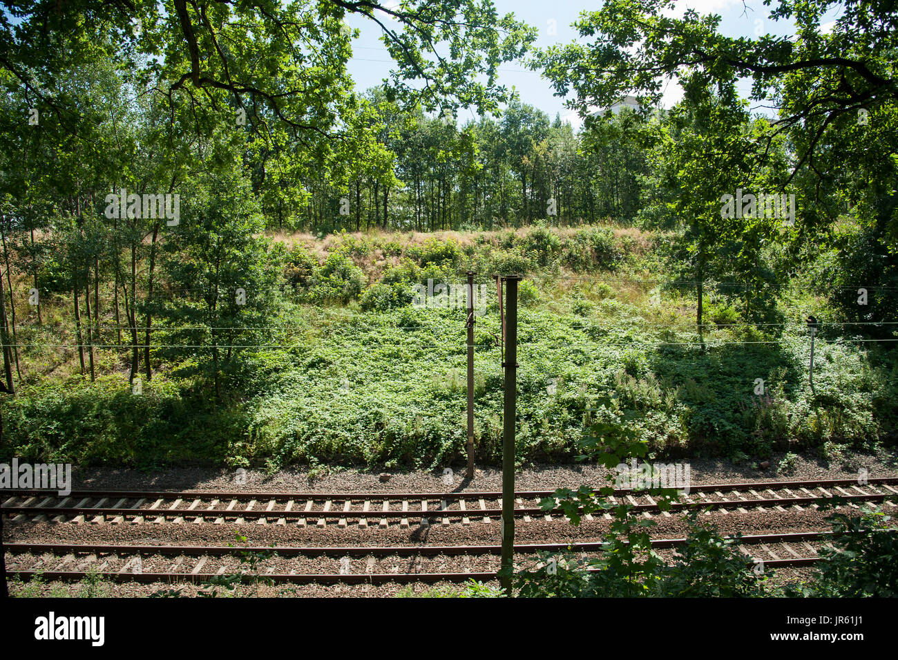 The site of the believed missing Nazi Gold Train in Walbrzych, Poland ...