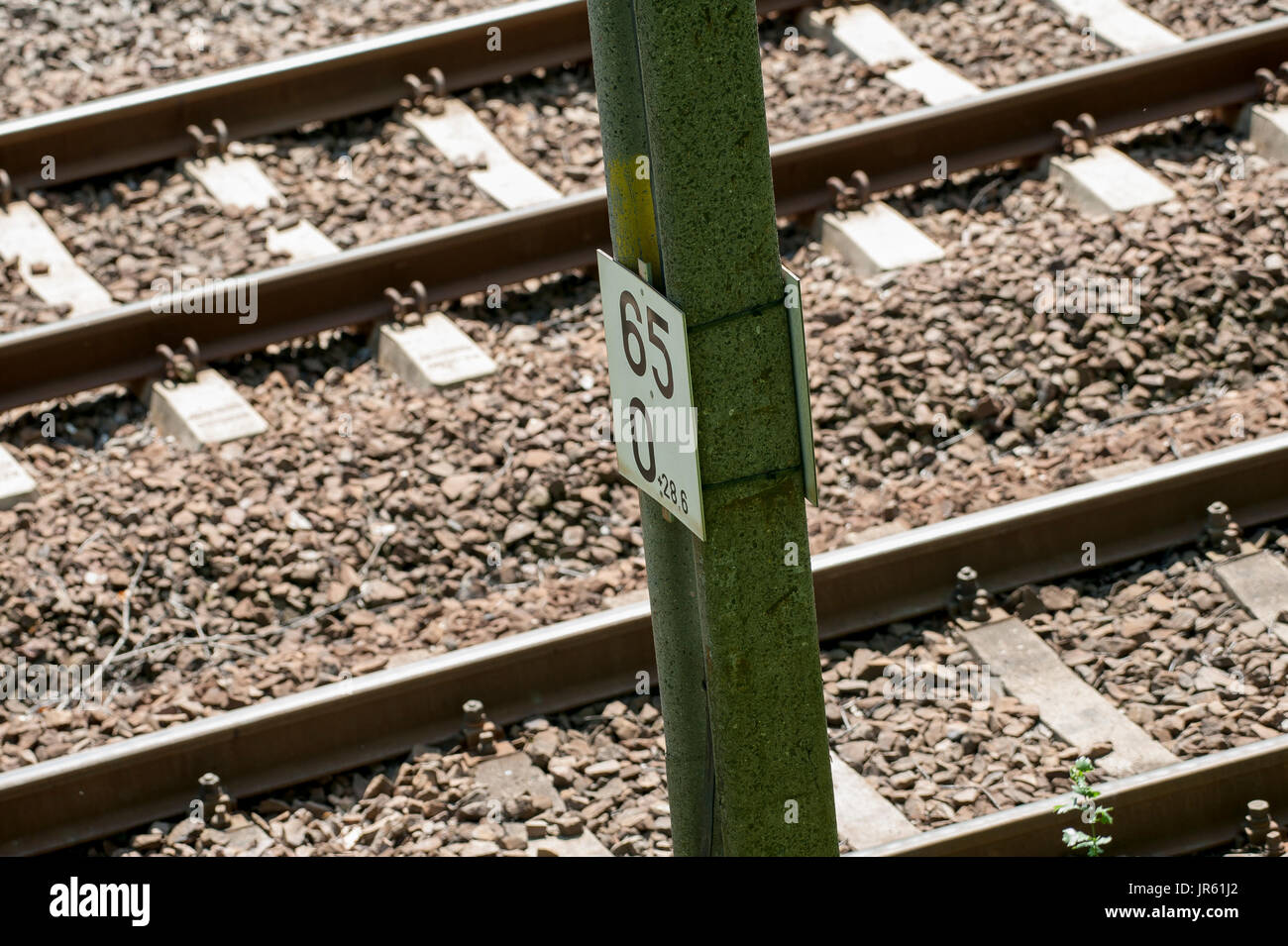 The site of the believed missing Nazi Gold Train in Walbrzych, Poland ...