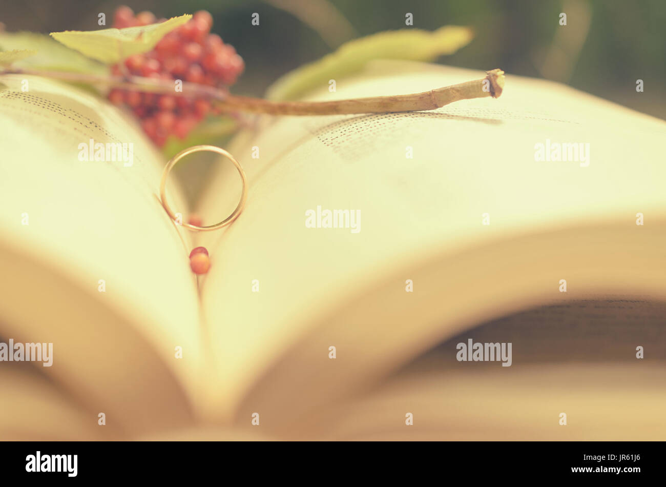 An open book with an engagement ring as a symbol of love Stock Photo ...