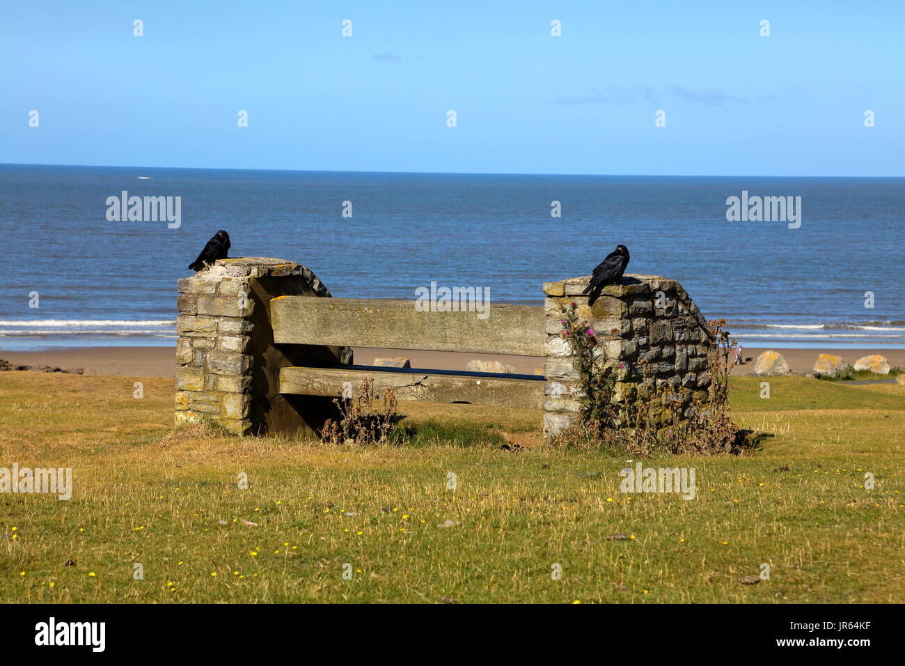 Two very wary Crows sit on either end of "their" bench looking towards ...