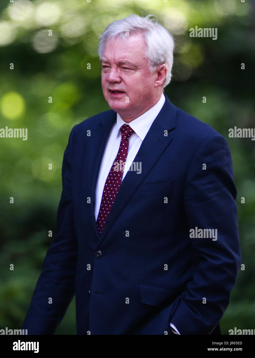 Ministers attend the weekly Cabinet Meeting at 10 Downing Street Featuring: David Davis MP Where ...