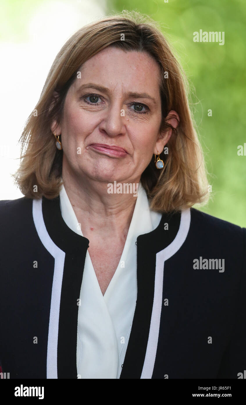 Ministers attend the weekly Cabinet Meeting at 10 Downing Street ...