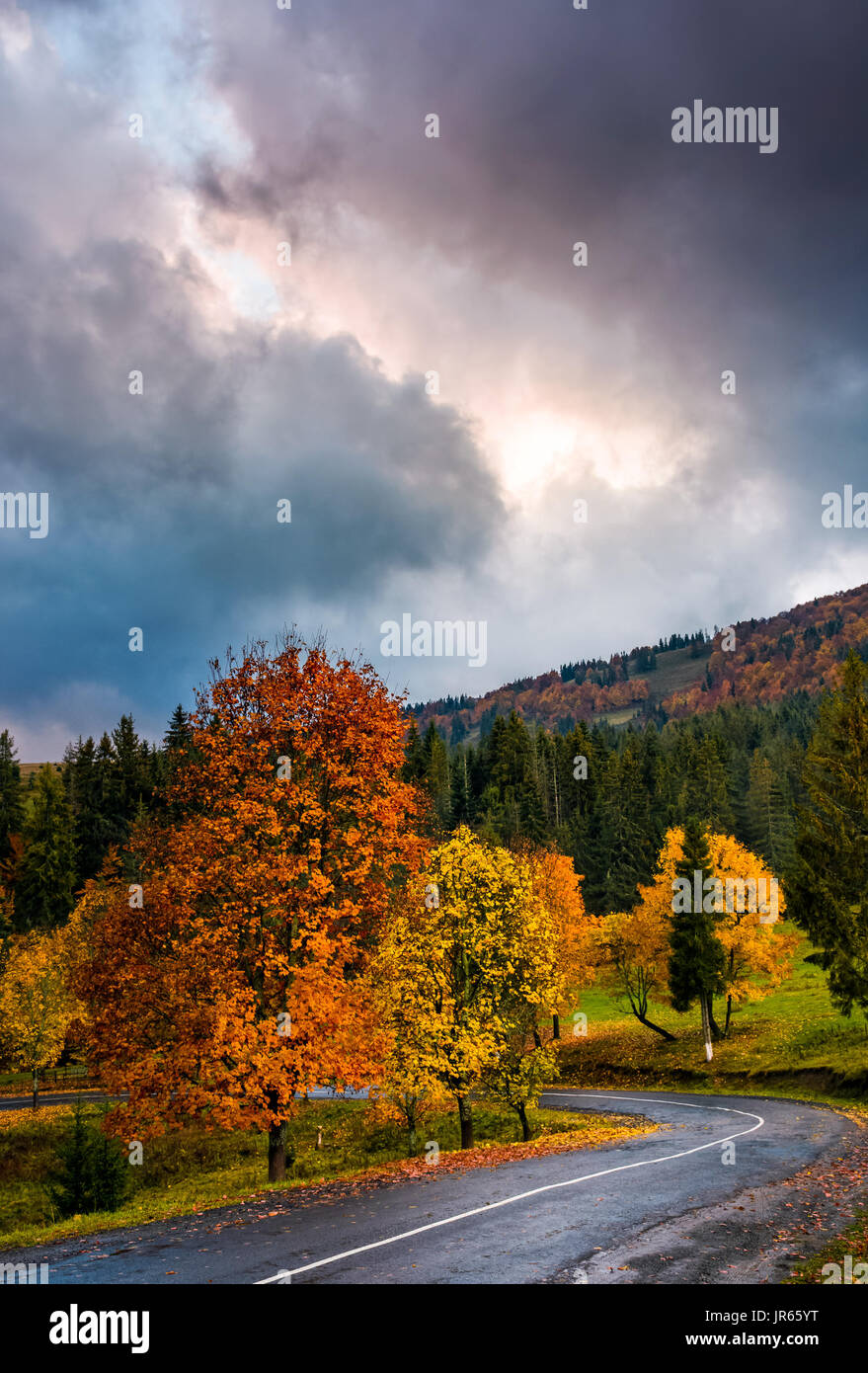 colorful foliage on serpentine in rainy fall weather. gorgeous cloudy ...