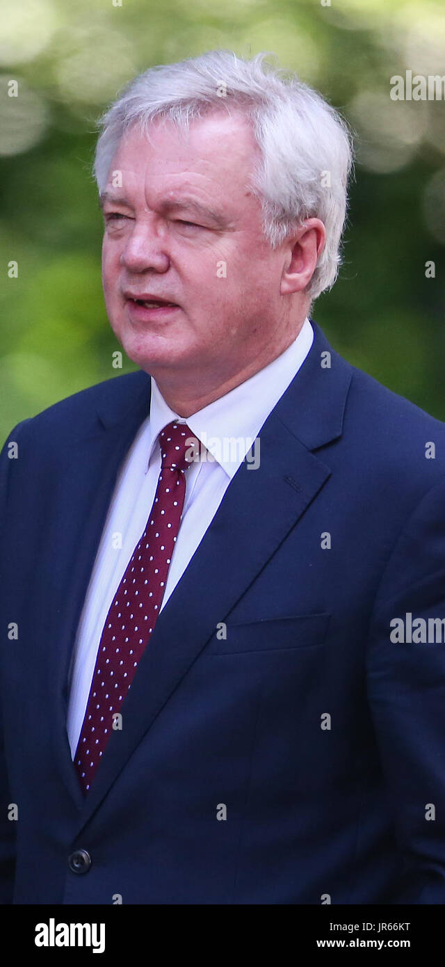 David Davis, Secretary of State for Exiting the European Union ...