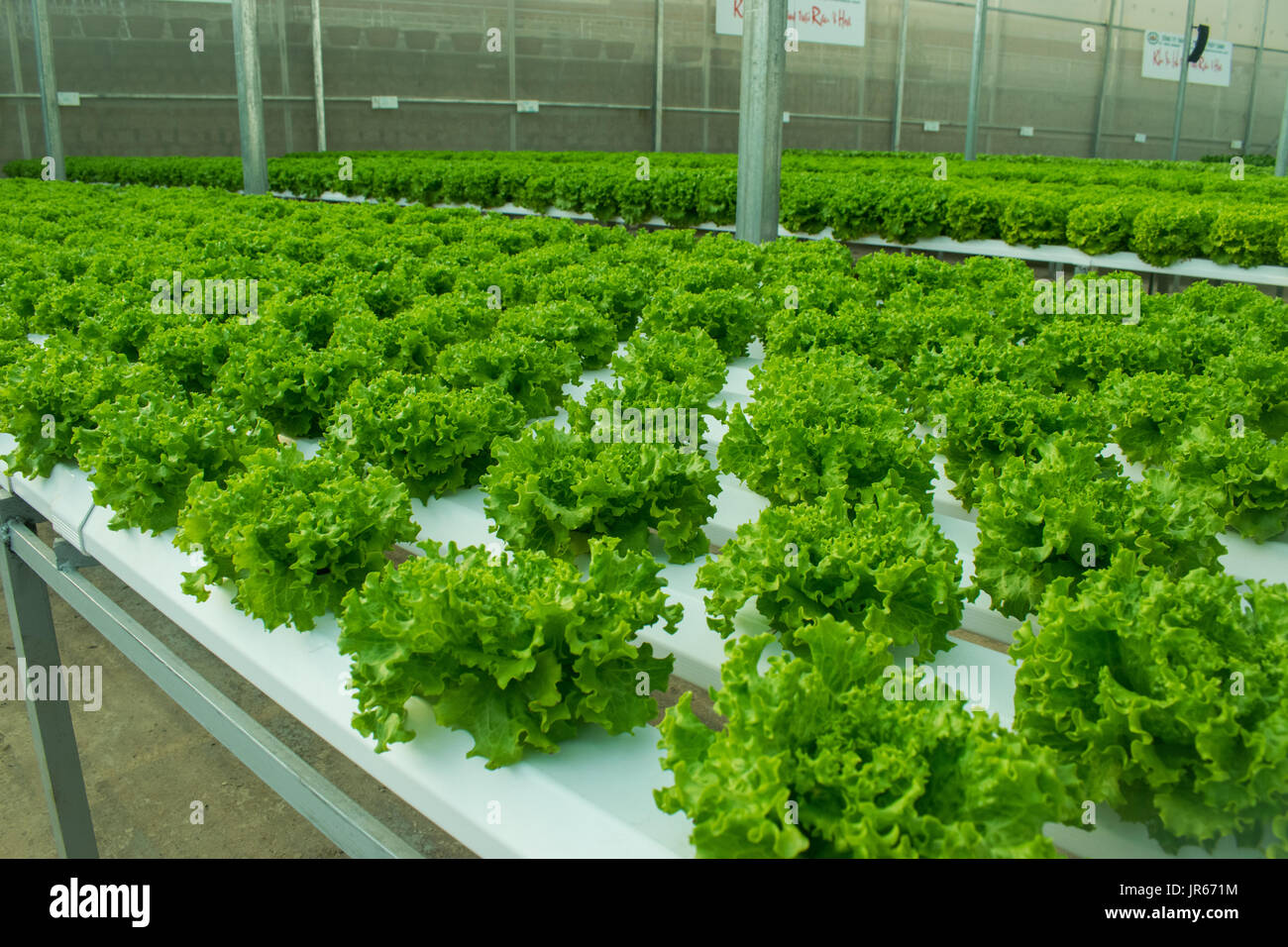 Farming ways hi-res stock photography and images - Alamy