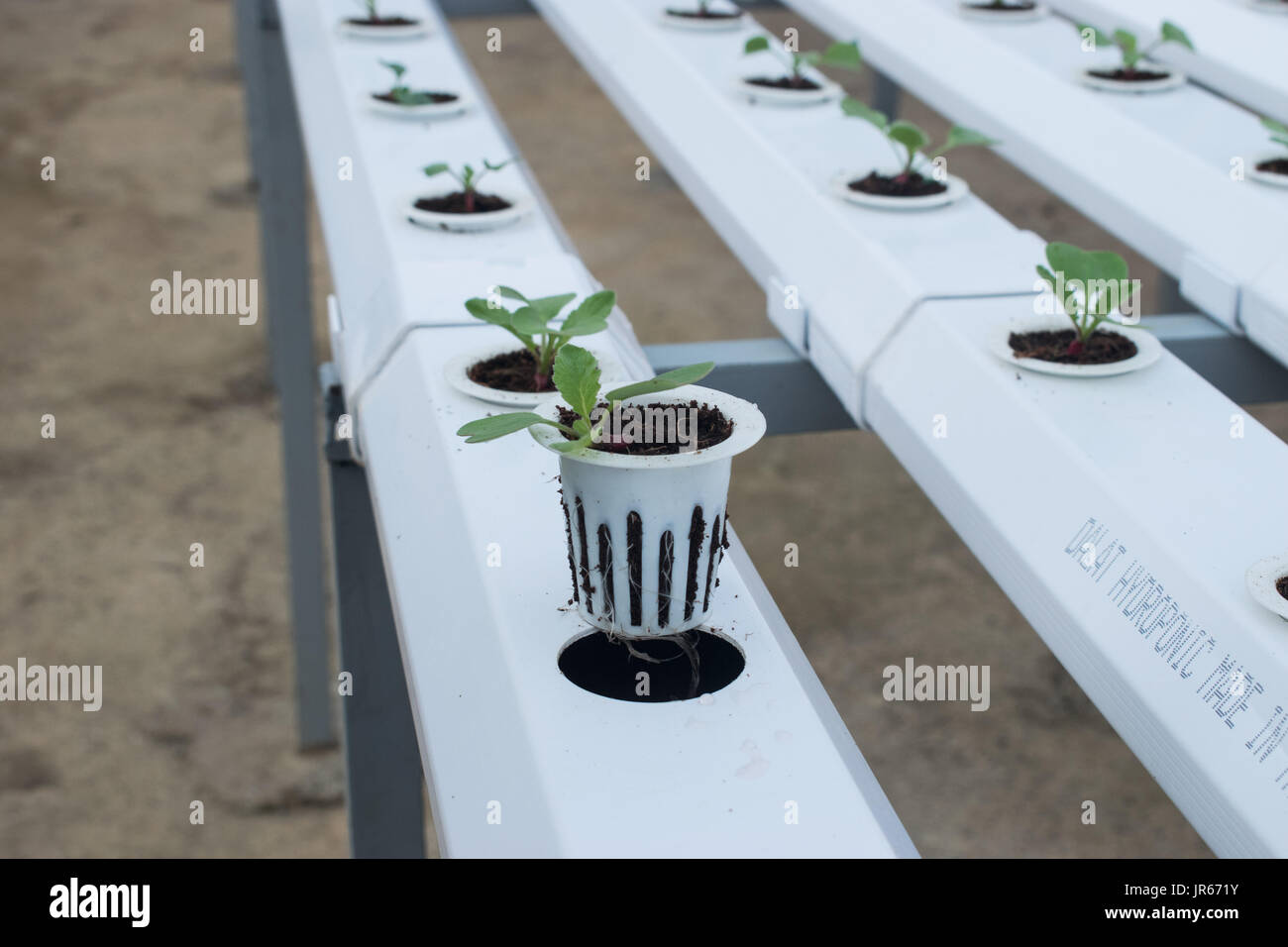 Ecological horticulture hi-res stock photography and images - Alamy