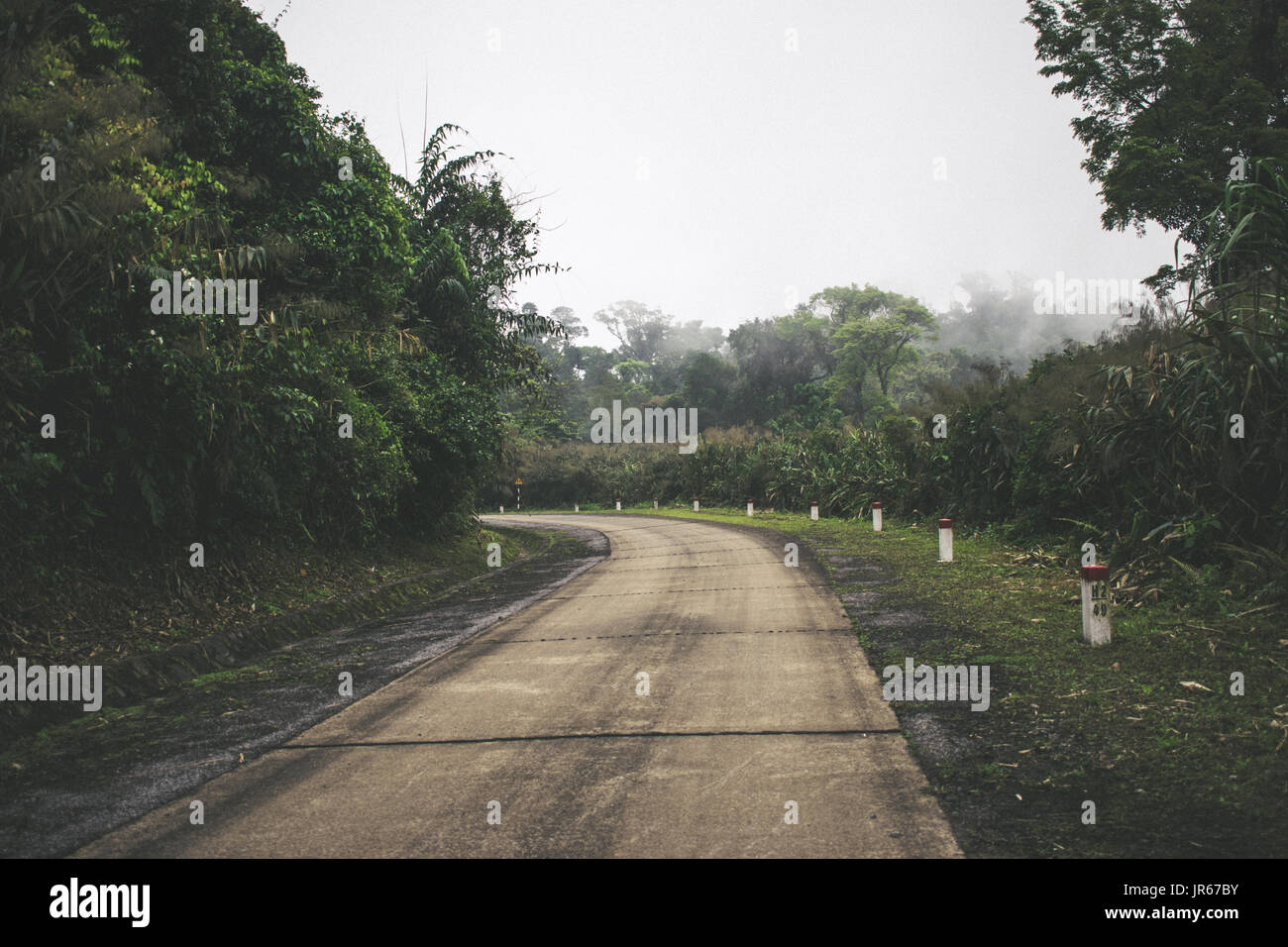 The asphalt jungle hi-res stock photography and images - Alamy