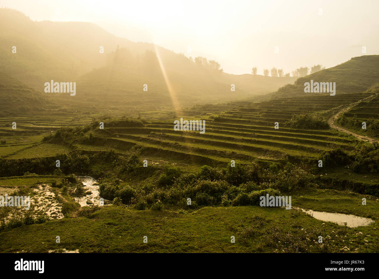 Sapa rice fields Stock Photo - Alamy