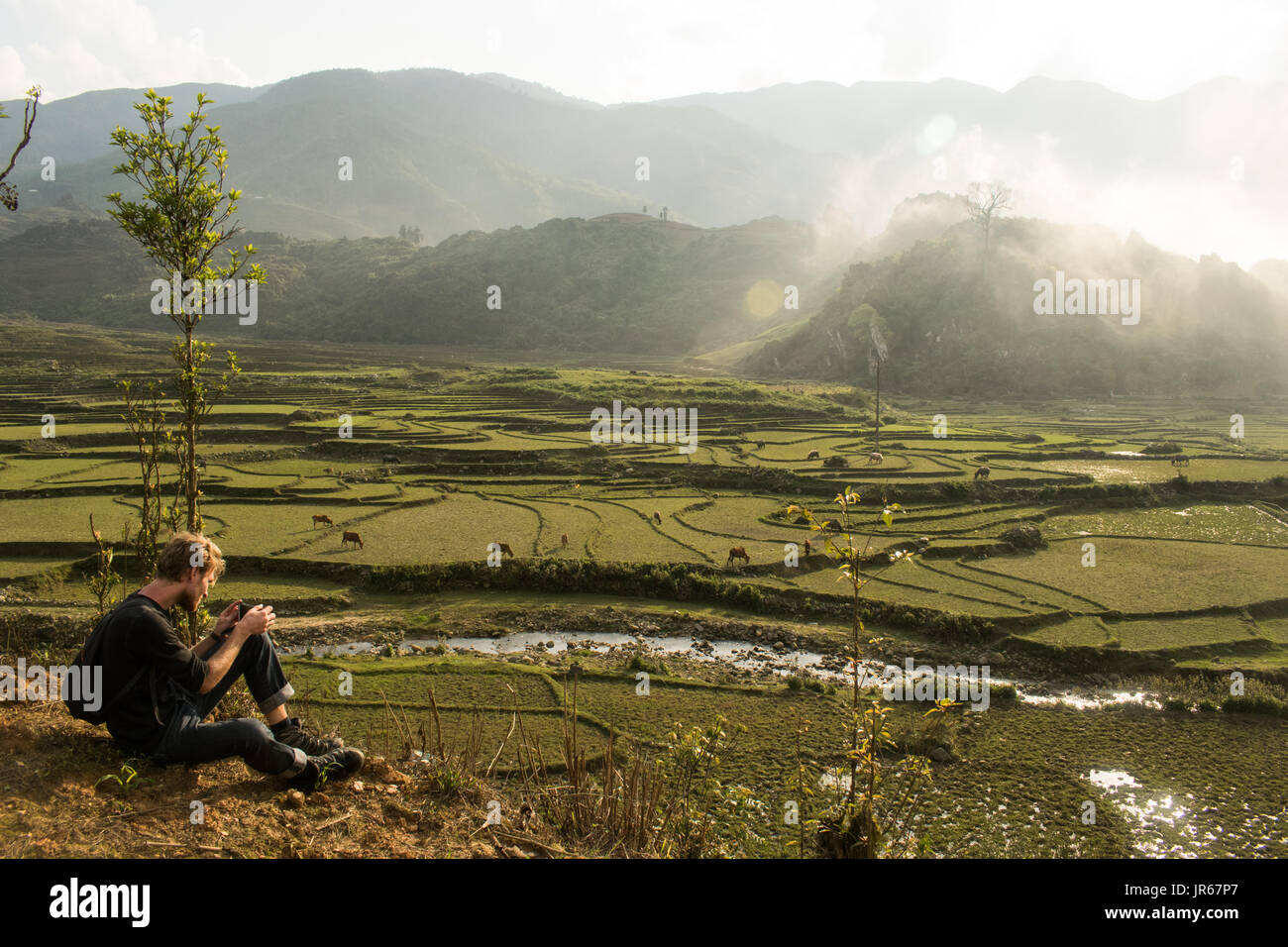 Sapa rice fields Stock Photo - Alamy