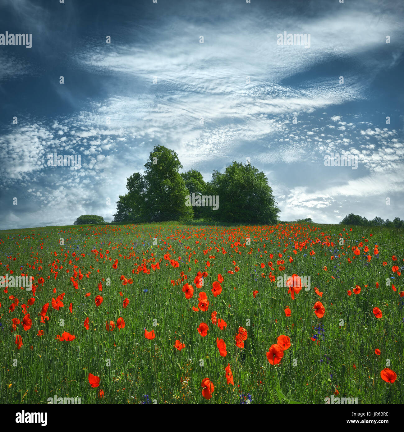 A lithuania hi-res stock photography and images - Alamy