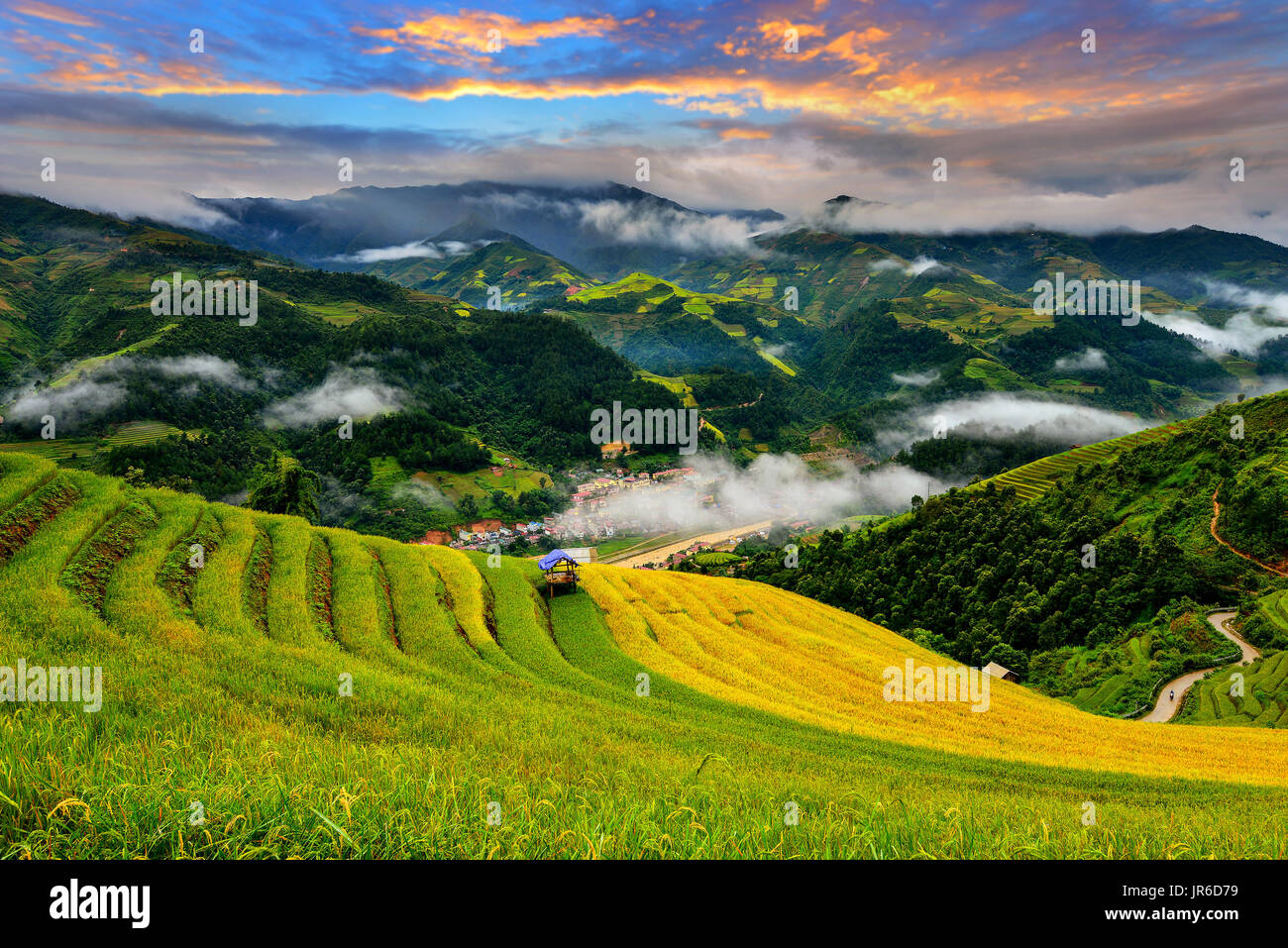 Terraced rice fields at sunset, Mu Chang Chai, Vietnam Stock Photo - Alamy