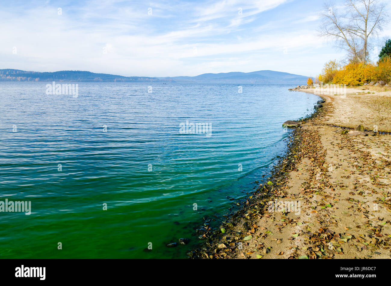 Shore of Lipno Lake with leaves on beach. Taken in autumn in Czech ...