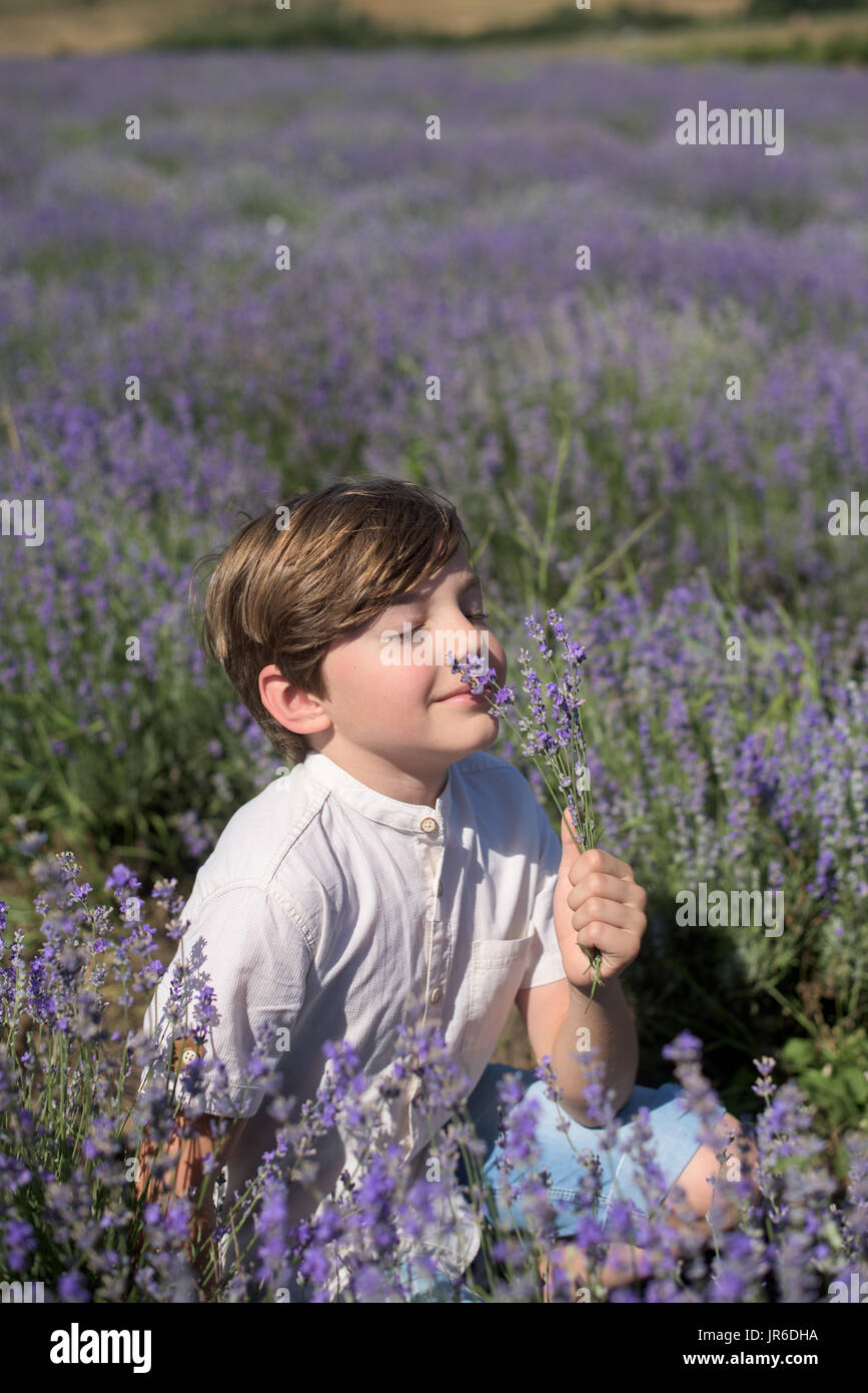 Boy field flowers hi-res stock photography and images - Alamy