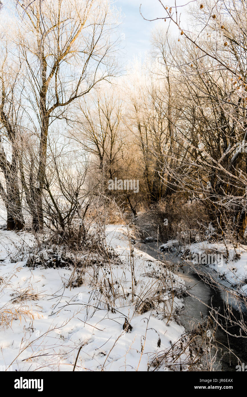Beautiful winter scene with creek, trees and snow on the ground Stock ...