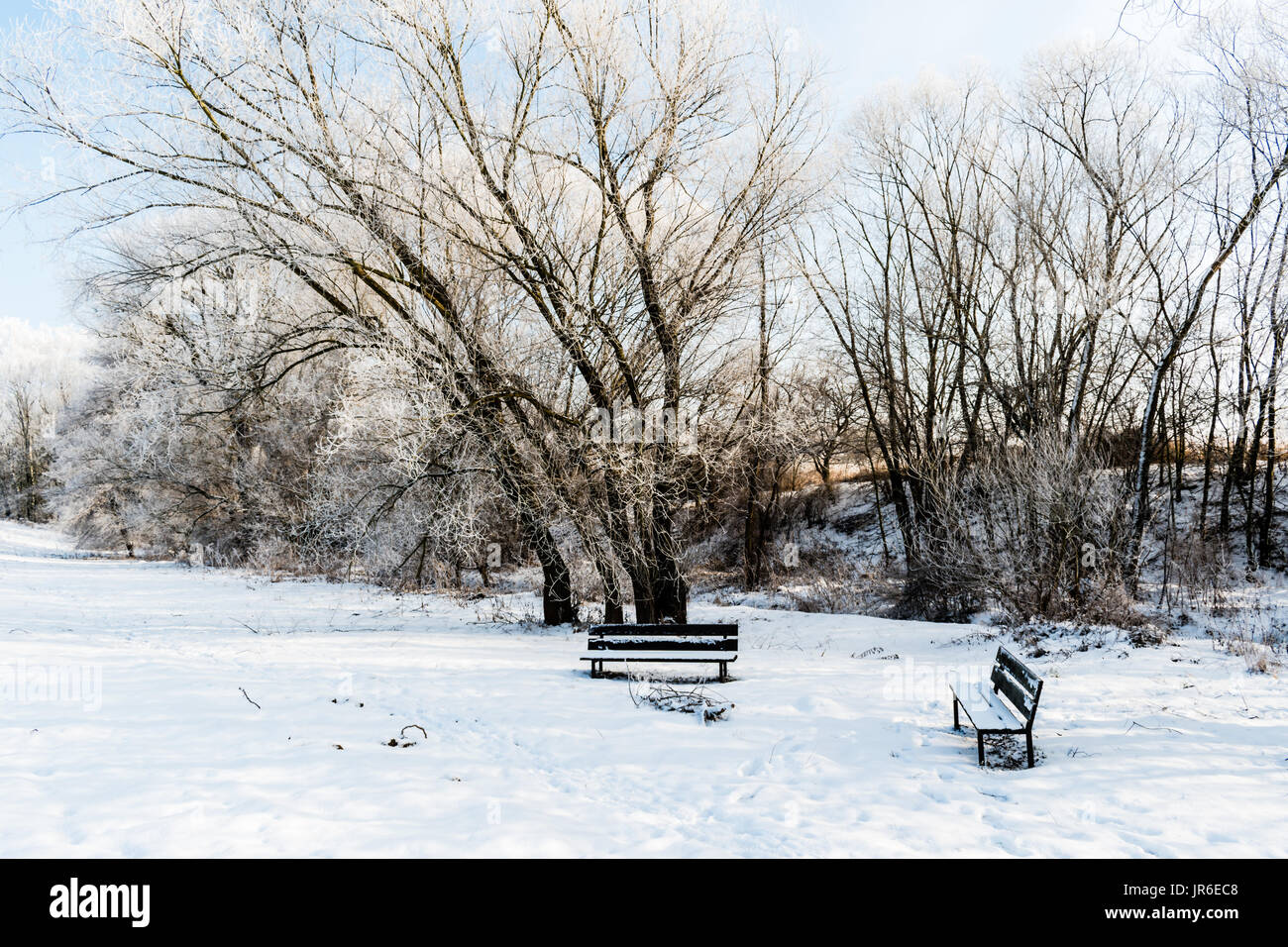 Benches and trees hi-res stock photography and images - Alamy