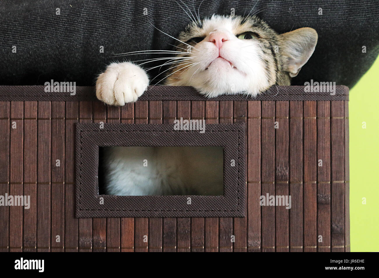 Get out box hi-res stock photography and images - Alamy