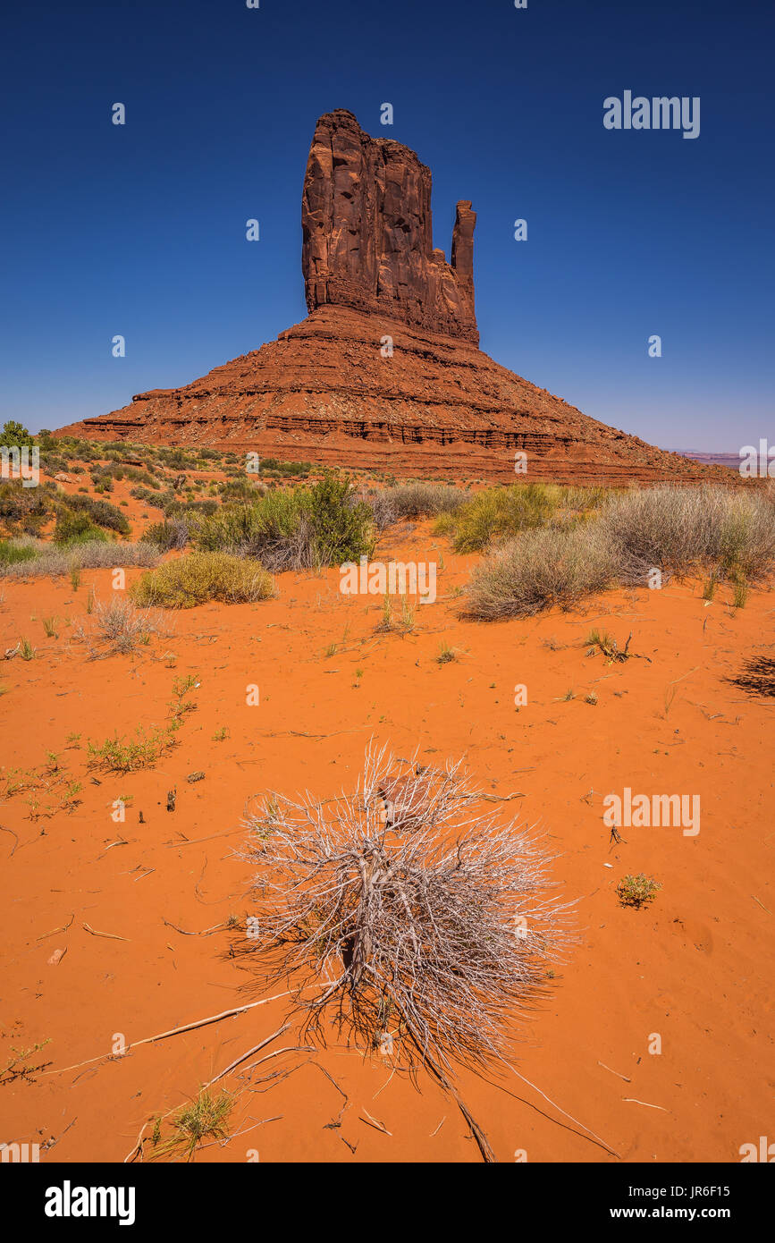 West Mitten Butte, Monument Valley, Arizona, America, USA Stock Photo ...