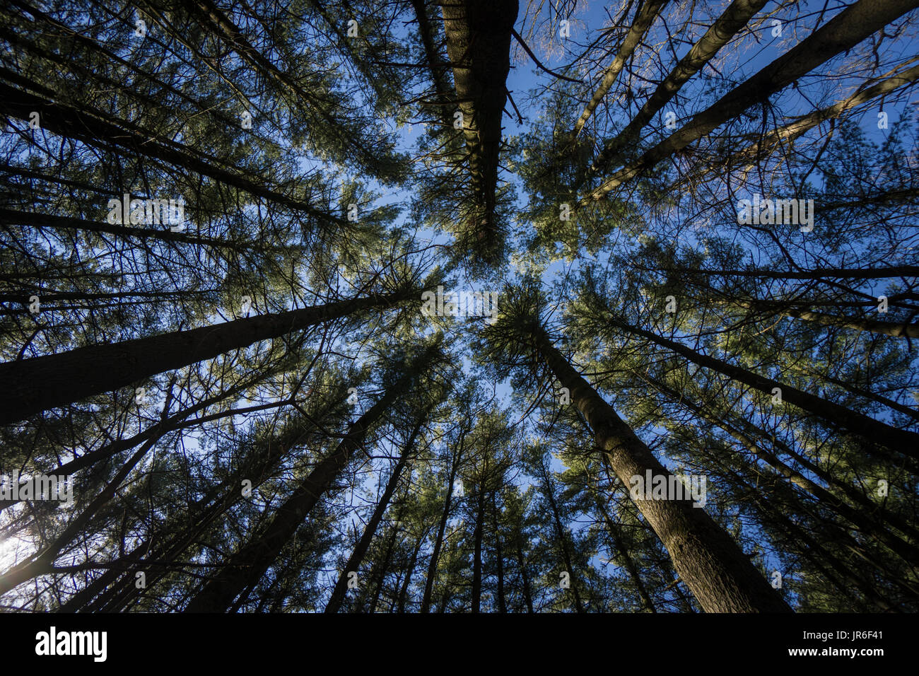 Long lake hi-res stock photography and images - Alamy