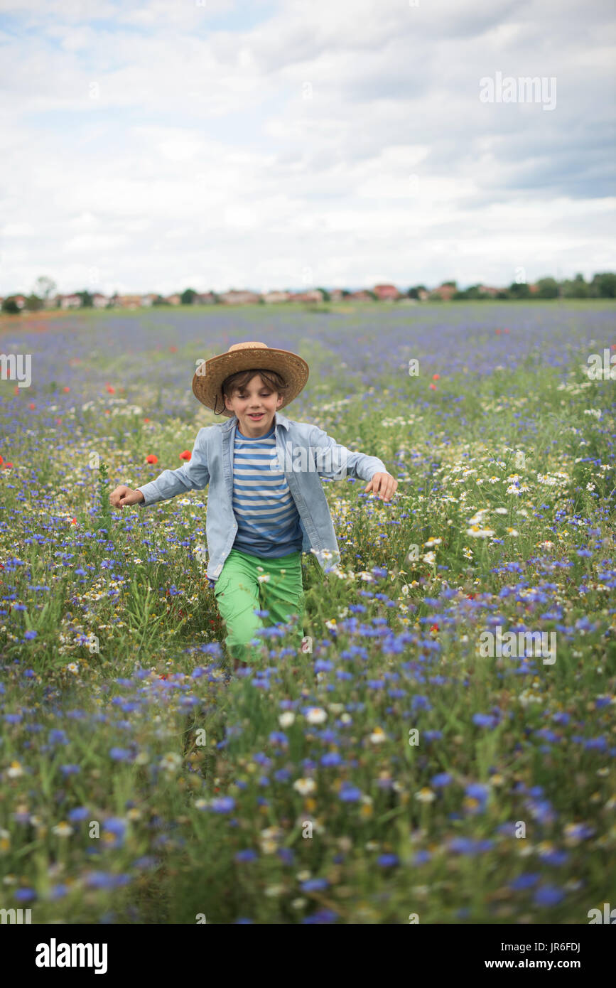 Wildflowers in motion hi-res stock photography and images - Alamy