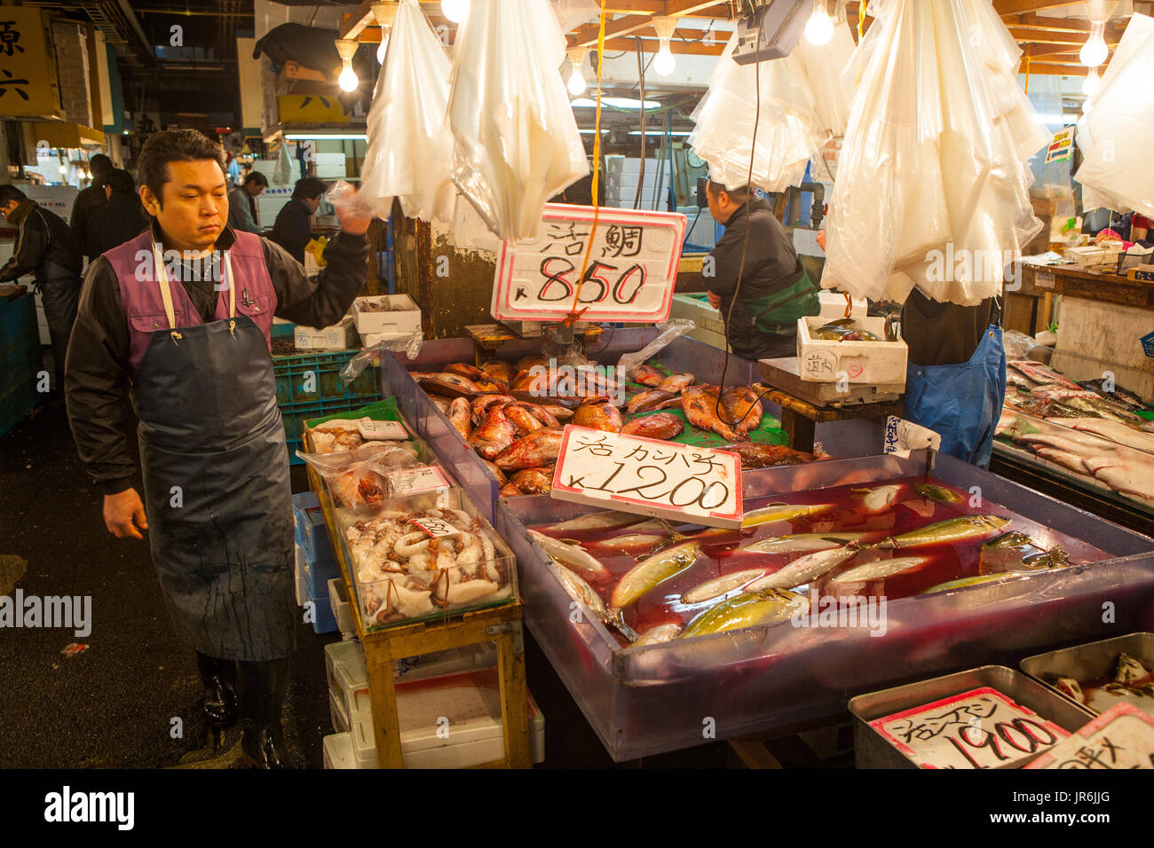 Fresh seafood for sale at Tokyo's famous Tsukiji Fish Market, Japan ...