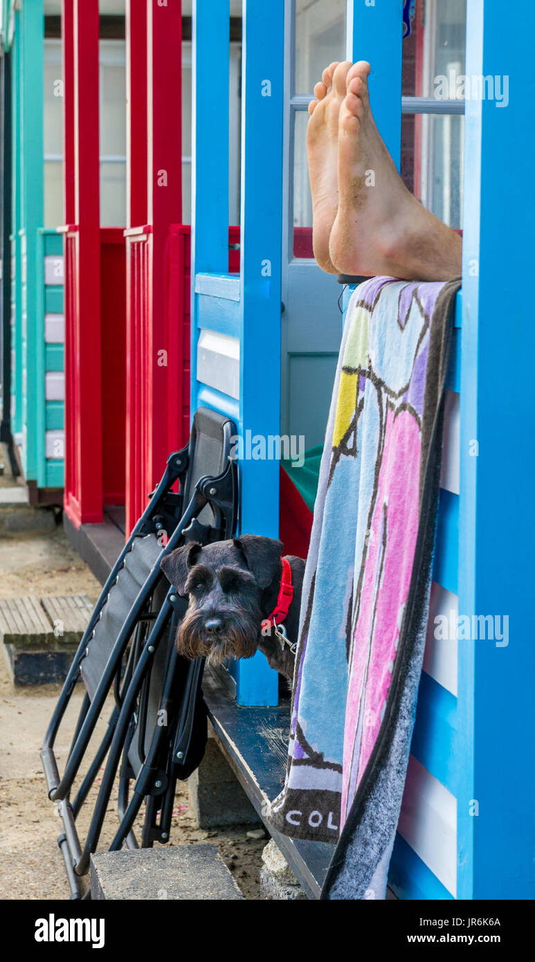 Feet up relax hi-res stock photography and images - Alamy