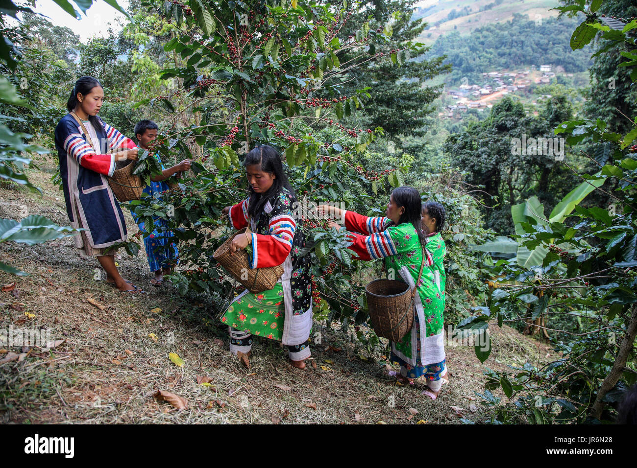 Lahu people north thailand hi-res stock photography and images - Alamy