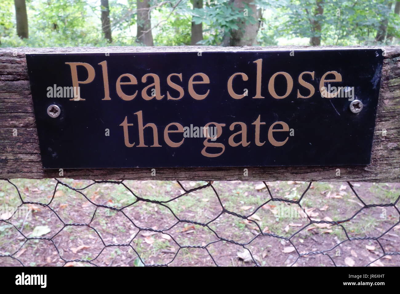 gate in forest Stock Photo - Alamy