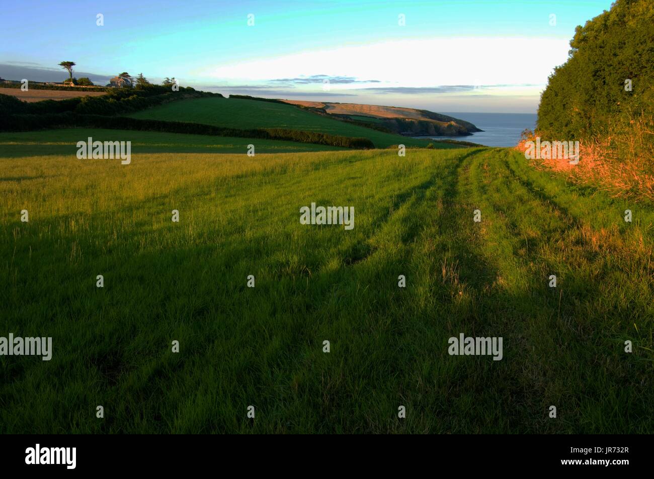 Roseland england hi-res stock photography and images - Alamy