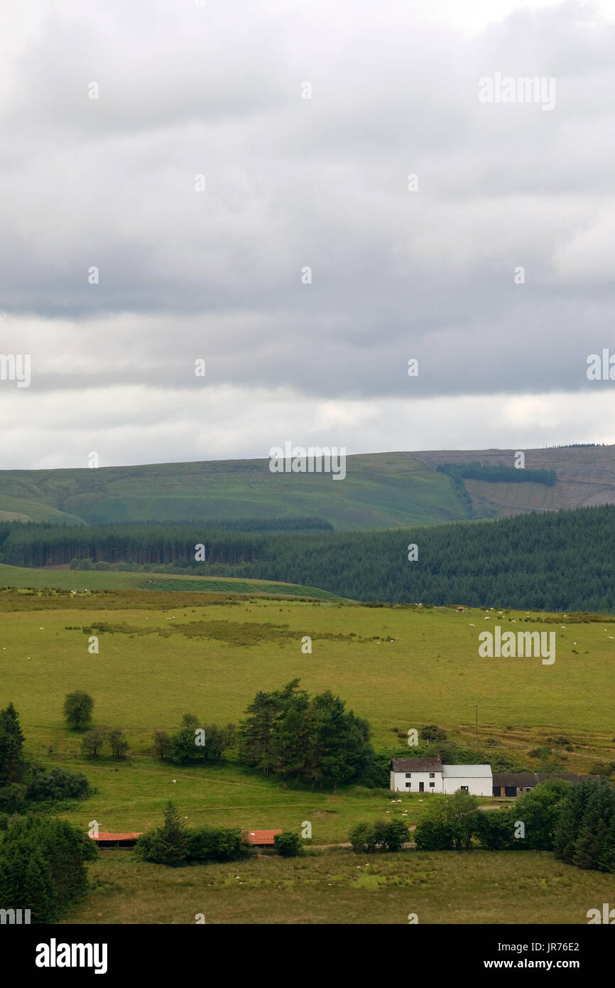 9th July 107 - Small Welsh hill farm in the hills hear, Senny Bridge ...