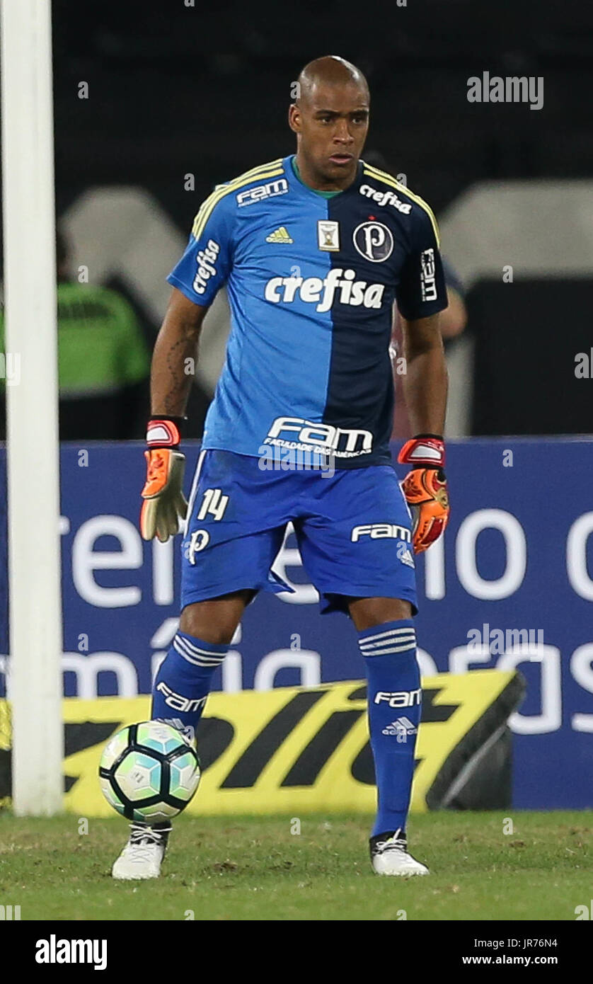 Rio De Janeiro, Brazil. 02nd Aug, 2017. Goalkeeper Jailson, of SE ...