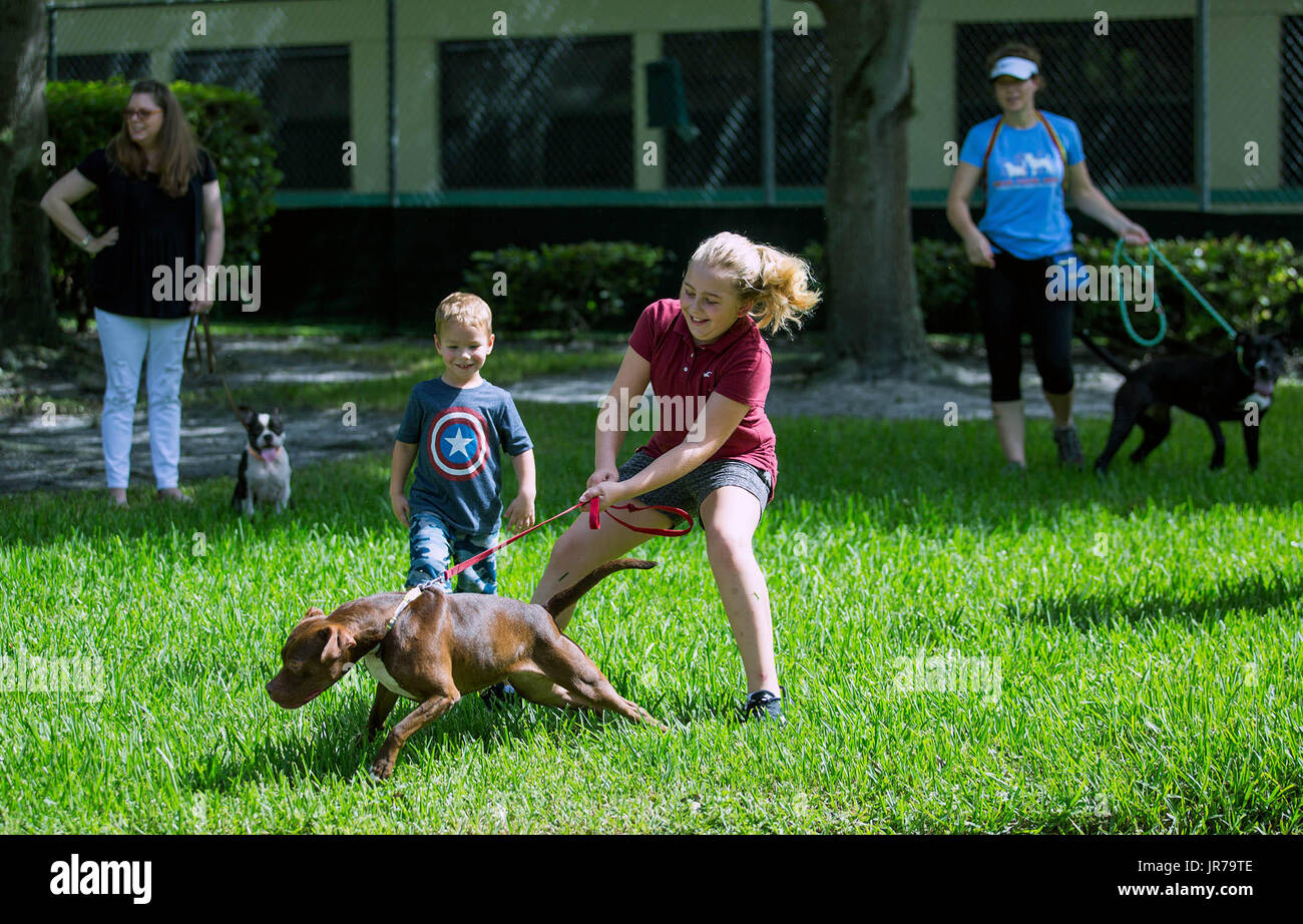 Florida animal control hi-res stock photography and images - Alamy