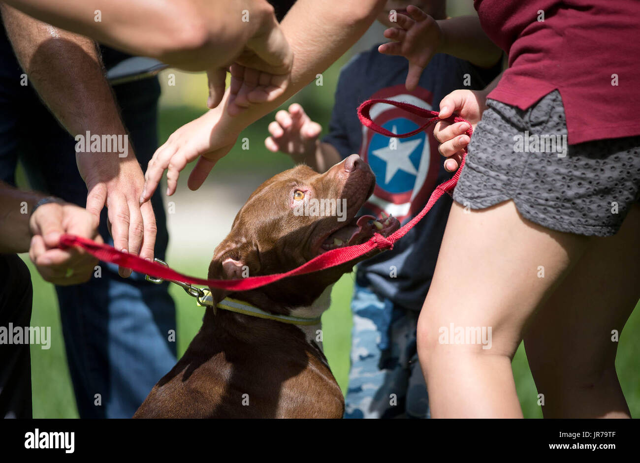 Florida animal control hi-res stock photography and images - Alamy