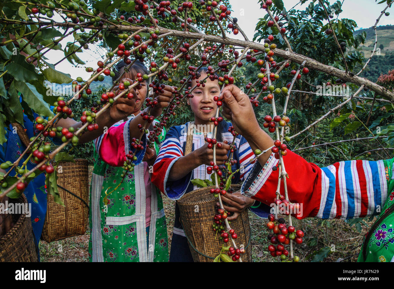 Lahu people north thailand hi-res stock photography and images - Alamy