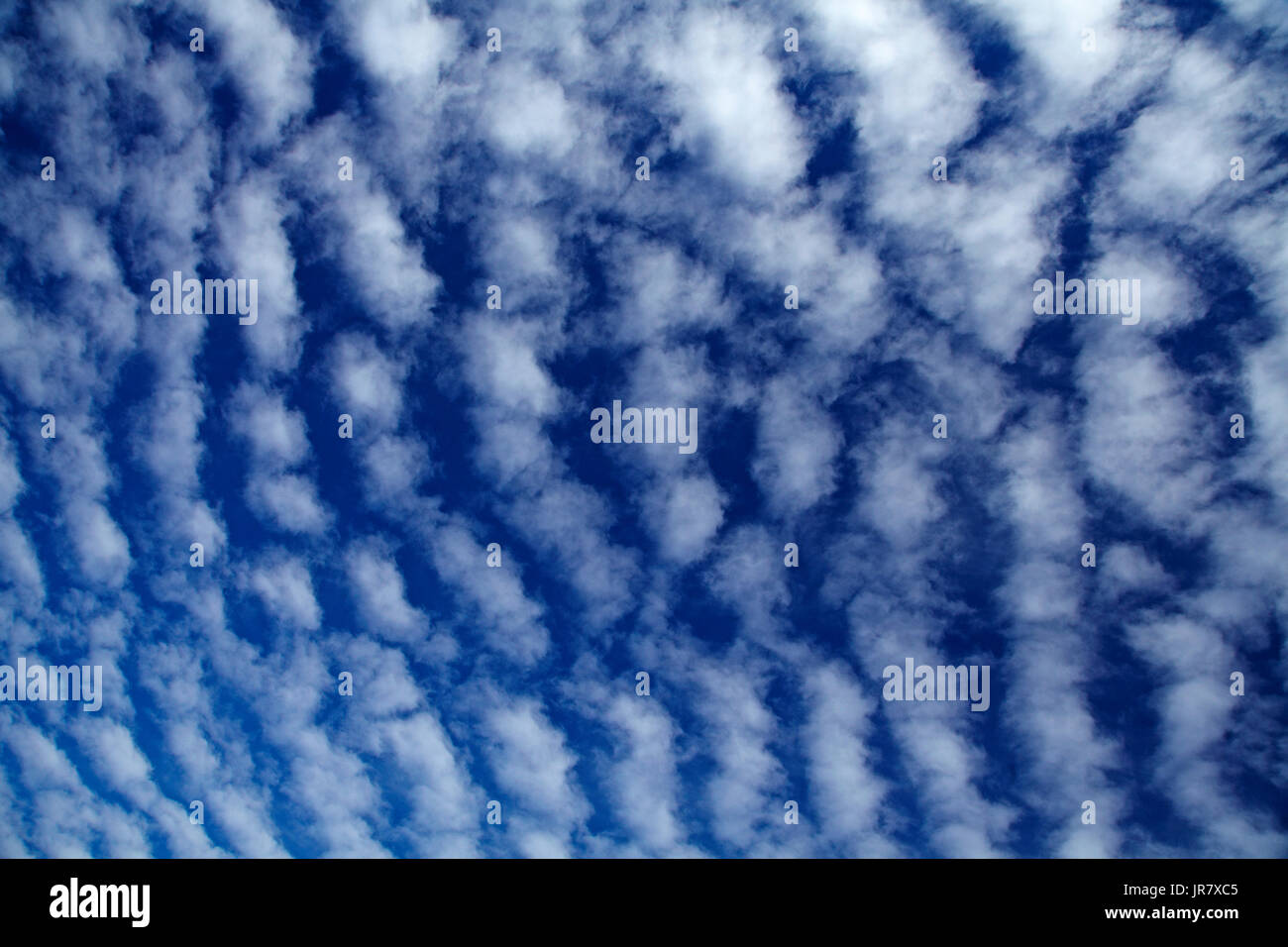 Autocumulus hi-res stock photography and images - Alamy