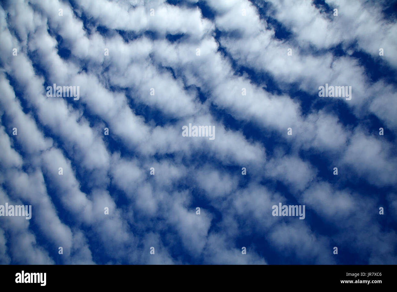 Autocumulus undulatus clouds, Central Otago, South Island, New Zealand ...