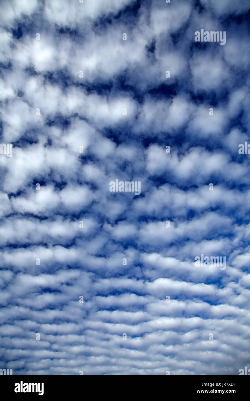 Autocumulus hi-res stock photography and images - Alamy