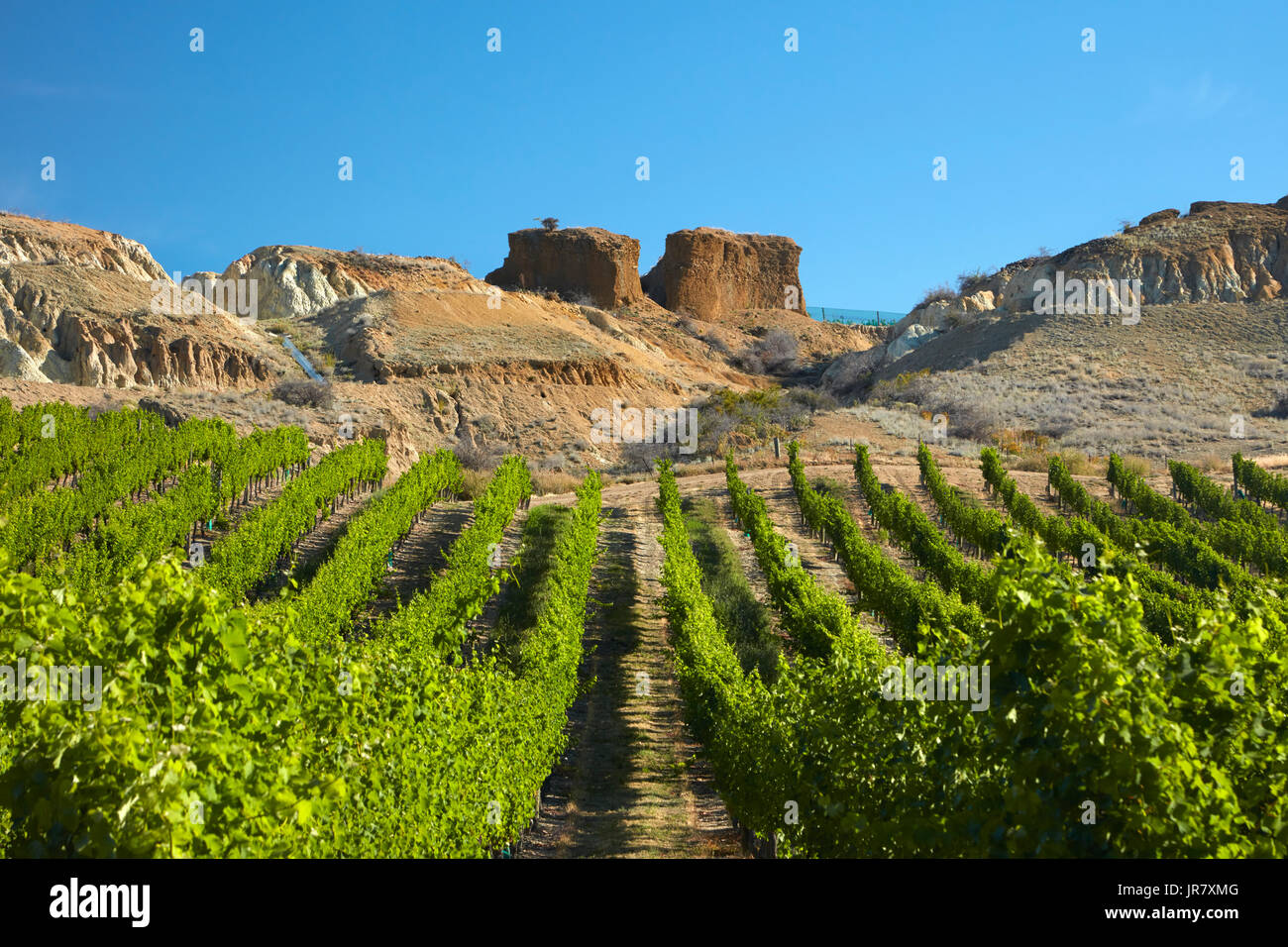 Mt Difficulty Vineyard, and historic gold sluicings, Bannockburn ...