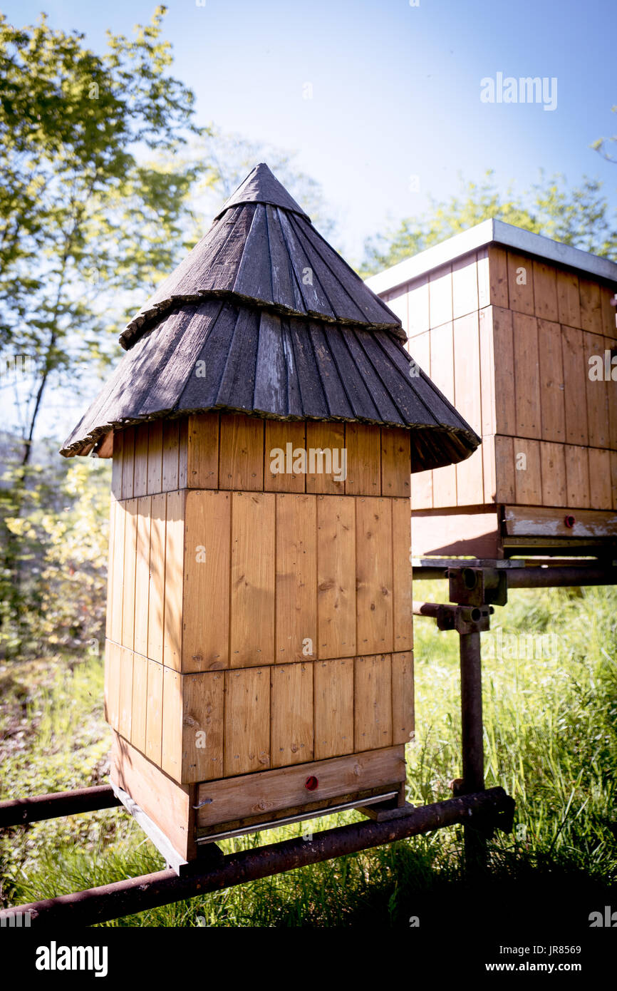 Old fashioned beehives in the nature on a sunny day Stock Photo - Alamy